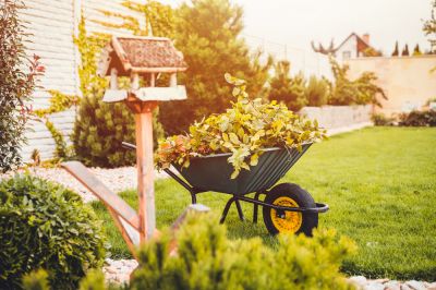 Expert Yard Cleanup Services for a Pristine Outdoor Space